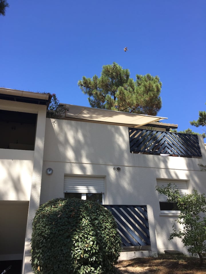 Appartement Au Cœur Du Cap Ferret - Le Phare du Cap Ferret