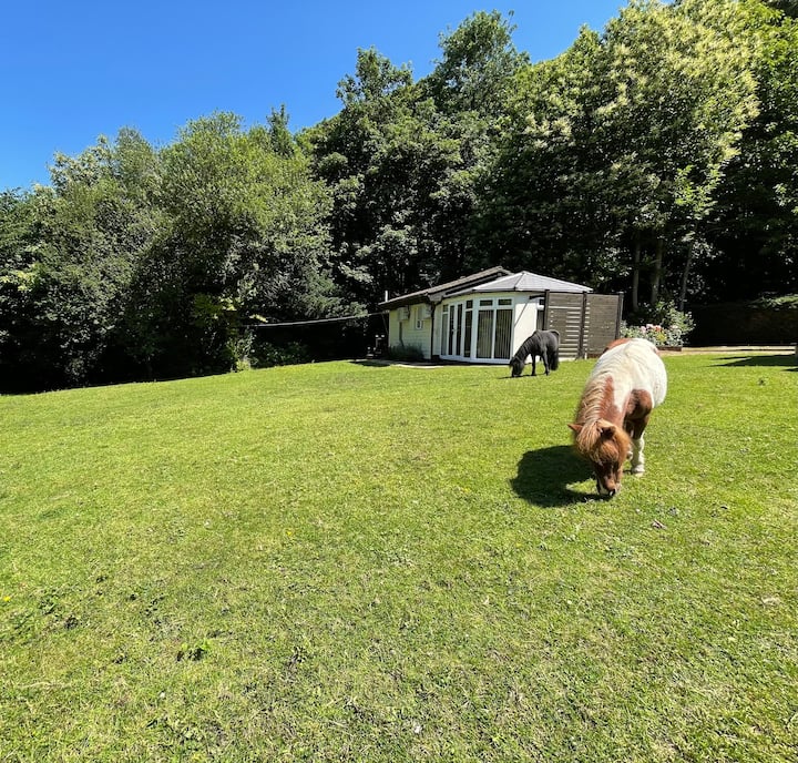 Badger View, Romantic, Luxury Holiday Cottage In Culverstone Green - Eynsford Castle