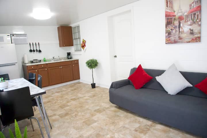 Private Apartment Centrally Located In Tampa - Tampa, FL