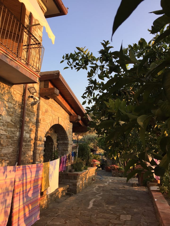 Portico In Pietra Al Piano Terra - San Mauro Cilento