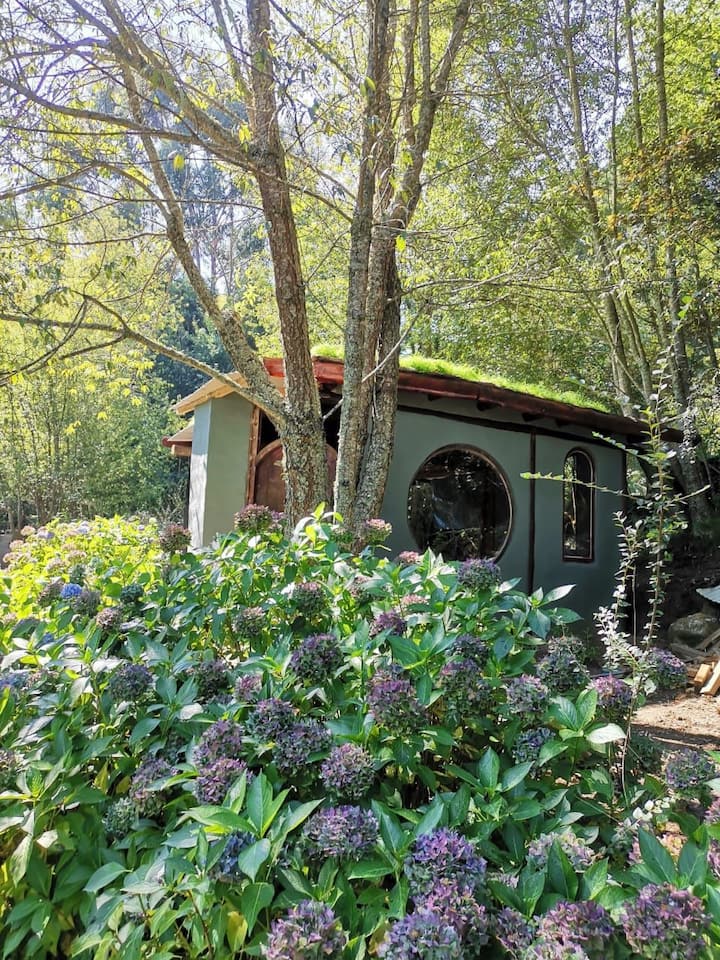 Hobbit Hollow With Private Waterfalls - Hogsback