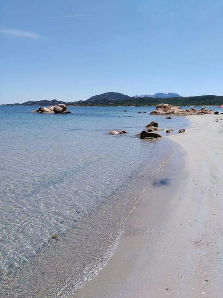 Olbia Baja Turchese Apartment 300 M From The Sea - Olbia