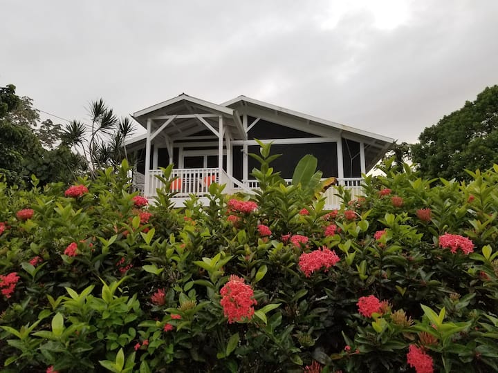 Tropical Paradise 2-bedroom Home Near The Ocean - Pāhoa, HI