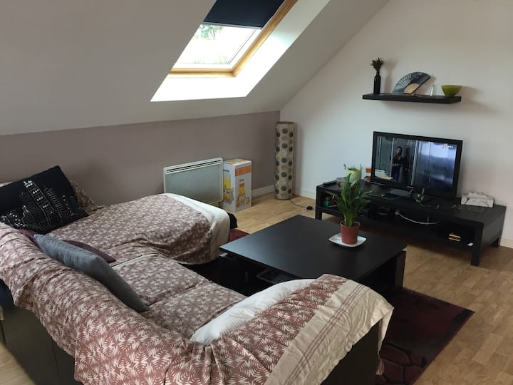 F2 Au Calme à Deux Pas Du Centre Ville - Colmar