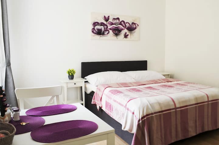 Bright And Comfortable Apartment 44 Soukenicka - Prague
