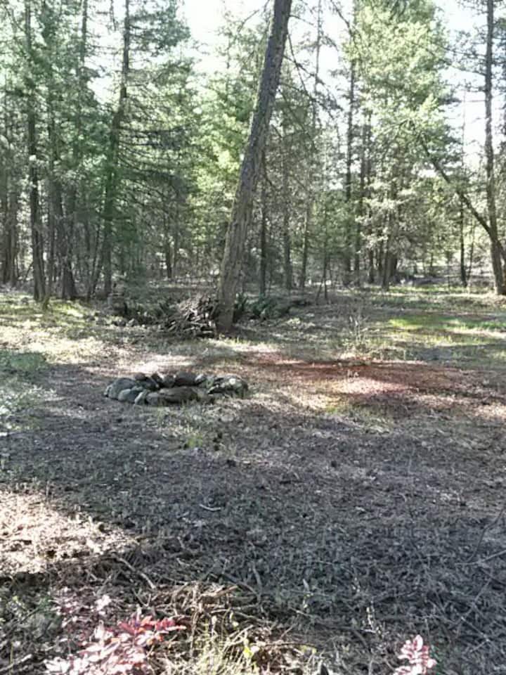 New Exclusive Wilderness Setting Camping Plot - Vernon, BC, Canada
