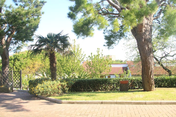 Trilocale Con Doppi Servizi, Giardino E Cortile - Numana