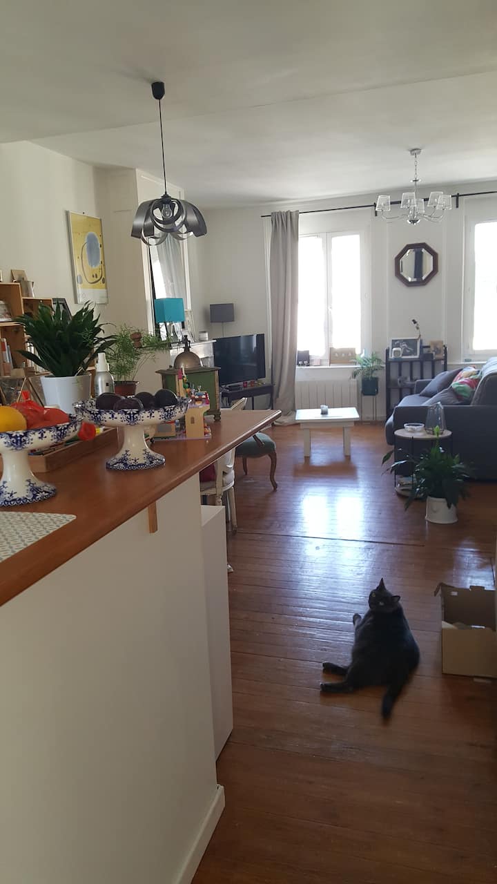 Bel Appartement Chaleureux Et Lumineux Avec Chat ! - Lomme