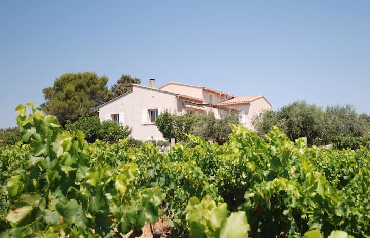 Gîte Indépendant Avec Piscine Et Vue - 2 Chambres - Vaison-la-Romaine