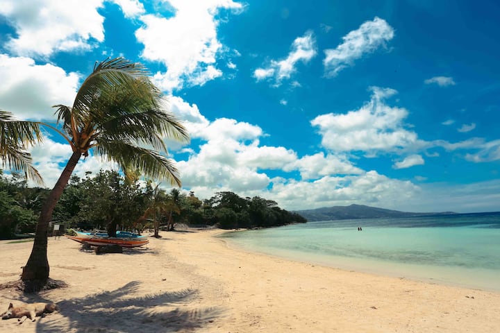 Bamboo Room Beachfront Property Near Kawasan Falls - Badian