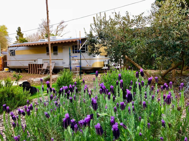 Vintage Backyard Silver Streak Trailer In Davis - Davis, CA