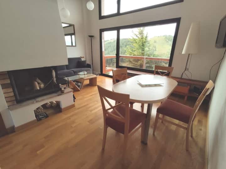 Appartement 3p, Vue Sur Les Pistes De Valberg - Valberg