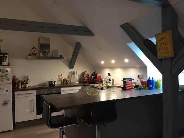 Appartement Cosy à Strasbourg - Bas-Rhin