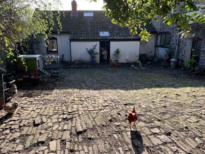 Unique Oasis In The Heart Of The City Free Parking - Clifton