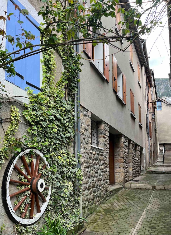Grande Maison Cœur De Village - Florac