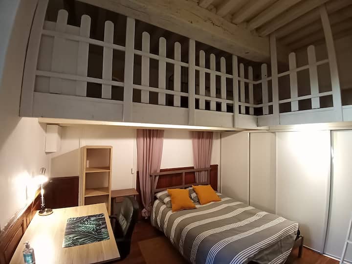 Bel Appartement Ancien 67 M2, Cœur De Dijon - Dijon
