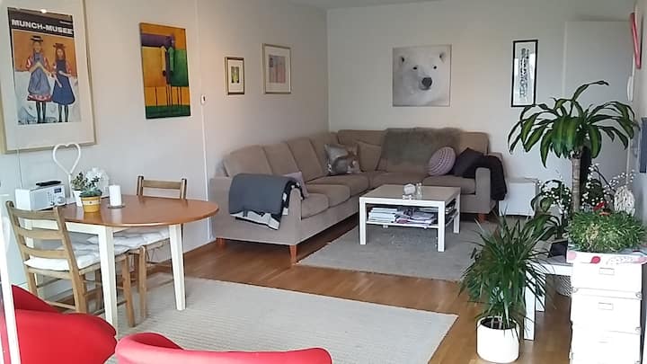 Another Place - Another Host :-) - 斯塔萬格