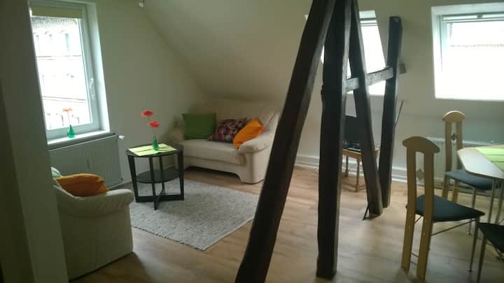 Zentrale 60qm Ferienwohnung In Braunschweig - 不倫瑞克