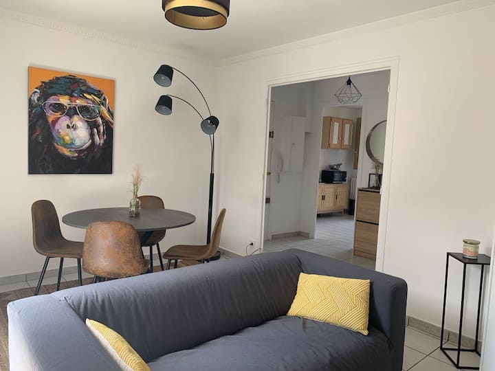 Appartement T3 à Grenoble, Wifi, Fibre France - Grenoble