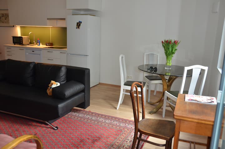 Quiet Very Central Lively Area(moredatesavailable) - Viena