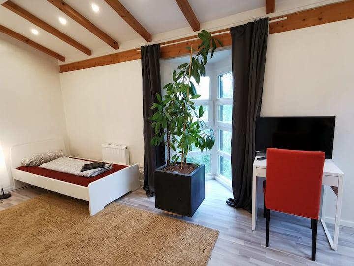 Bad Schussenried-große Studiowohnung Im Grünen - Aulendorf