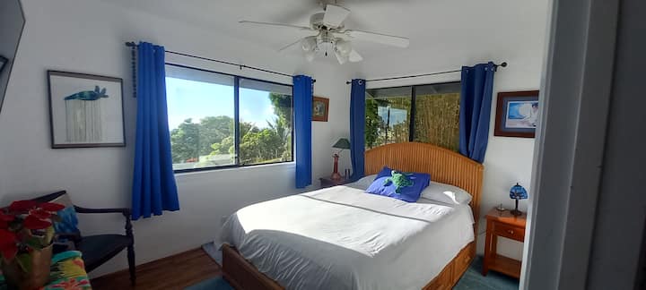Stellar View, Cool Elevation, Fresh Fruit, Hot Tub - Kailua-Kona, HI