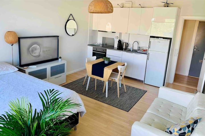 Studio (Own Entrance, Kitchen, Bathroom & Balcony) - Denmark