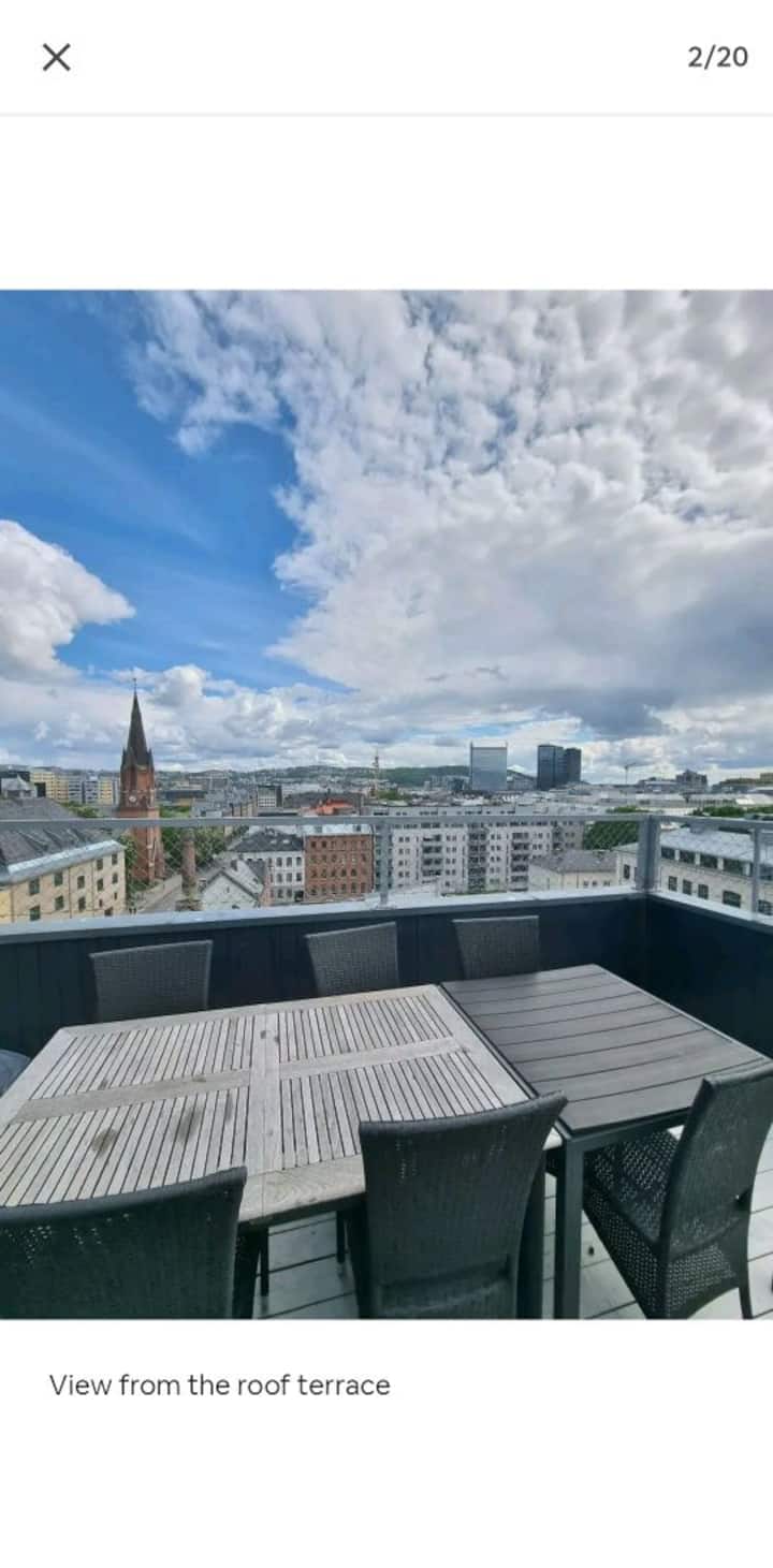 Modern And Spacious Apartment In The City Centre - Oslo