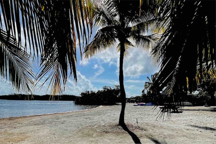 Paradise In Key Largo Florida 2 - Key Largo