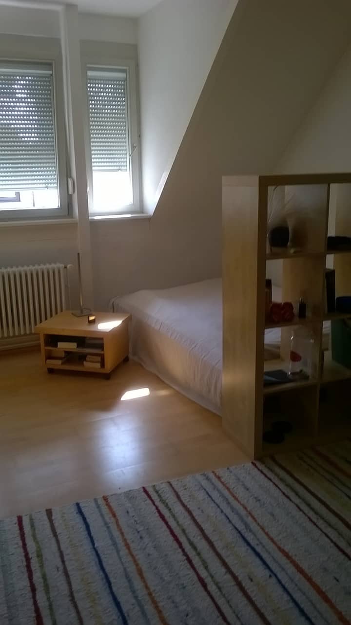 Appartement Near Old City - Heidelberg