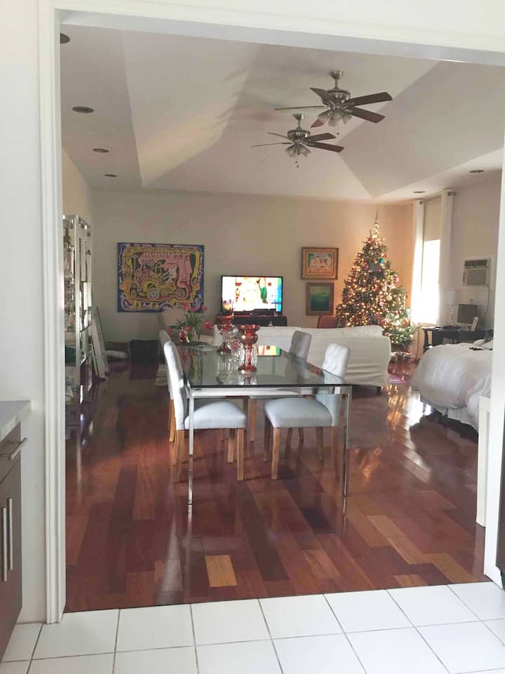 Museum Park "Anthro" Style Loft! - Houston, TX