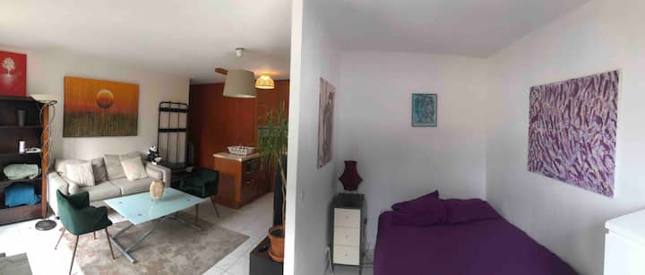 Grand Studio + Jardin + Parking Privé - ibis budget Pontault Combault RN4 Marne La Vallée