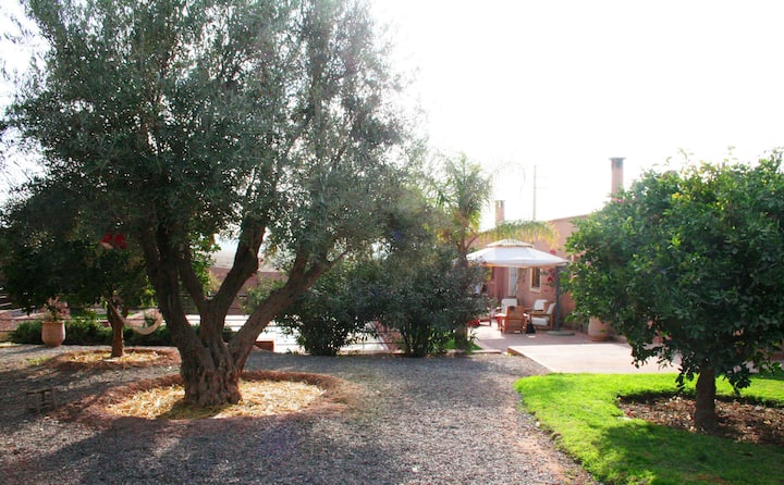 Ferme En Terre Route Du Barrage - Oumnass