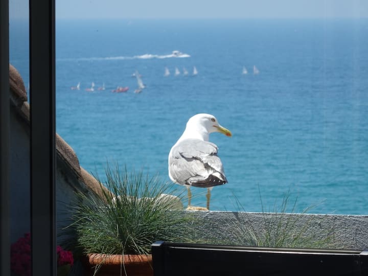 Penthouse Entre Mer Et Ciel,clim, Terrasses,garage - Marseille