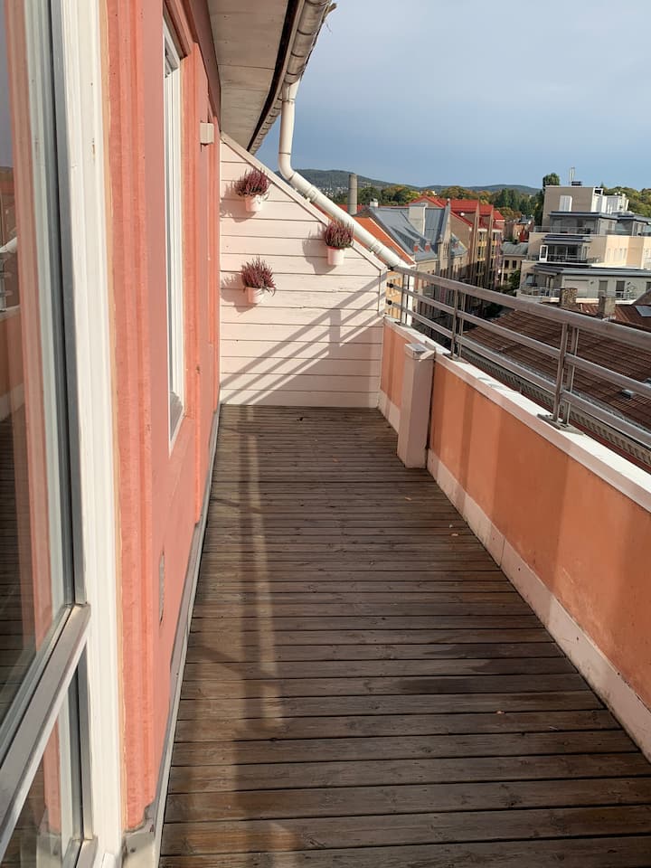 Flott Leilighet I Oslo Sentrum - - Oslo