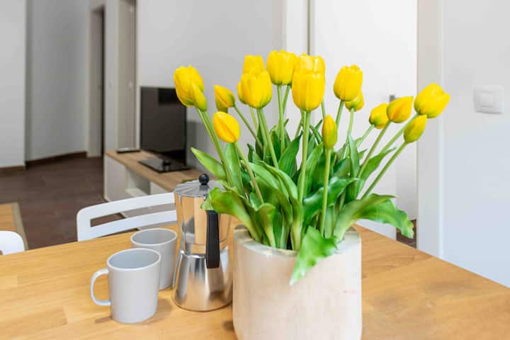 Milenial Immo | Vt1-2 Figueres Museo Dalí Y Rambla - Figueres