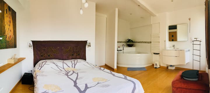 Stylish Room With A Pool In Toulouse City Centre - Toulouse