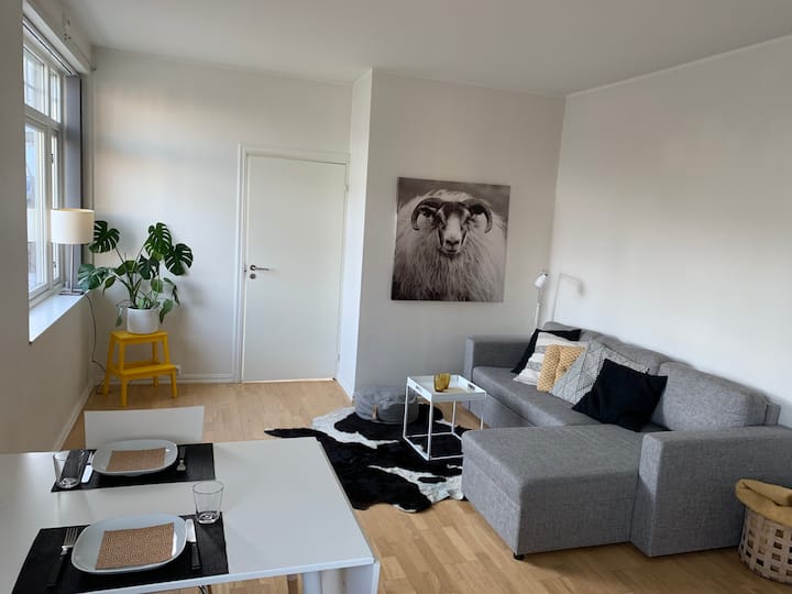 Bright And Cozy Apartment Close To Downtown Tromsø -