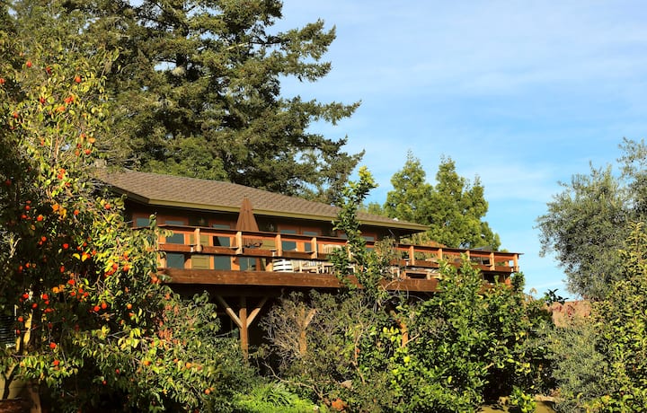 Pezzi King Wine Lovers Retreat In Healdsburg - Healdsburg, CA