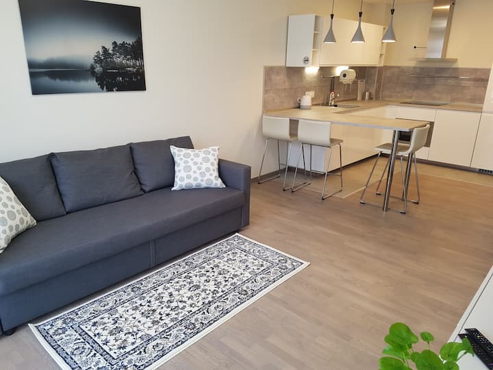 New Apartment Close To The Center - Vilnius