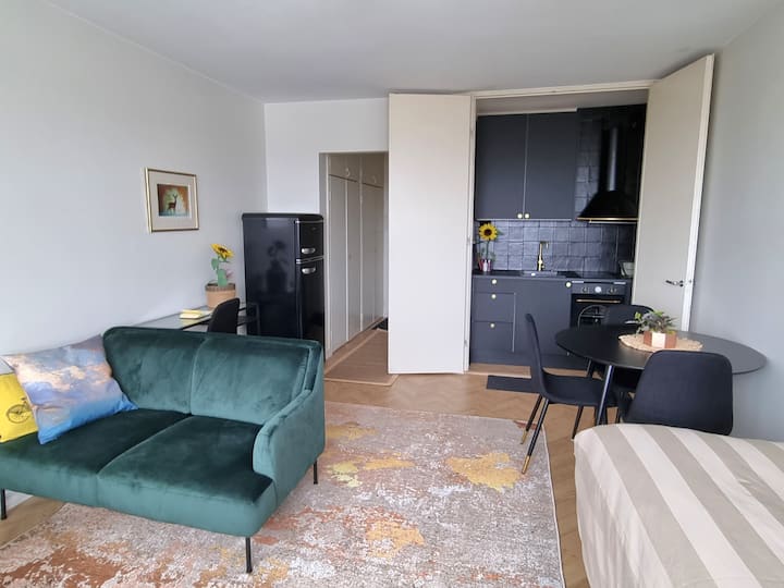 Vantaasky: Airport & City -Access: By Station - Helsinki Airport (HEL)