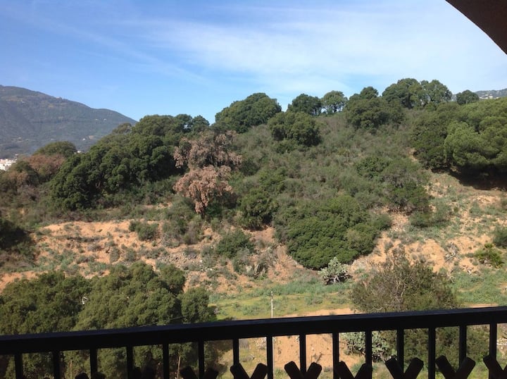 T2 Agréable à Ajaccio, 50 M2 Avec Terrasse - Ajaccio