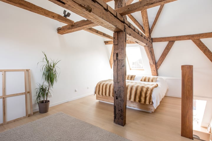 Duplex Standing Lille Opera - Lille