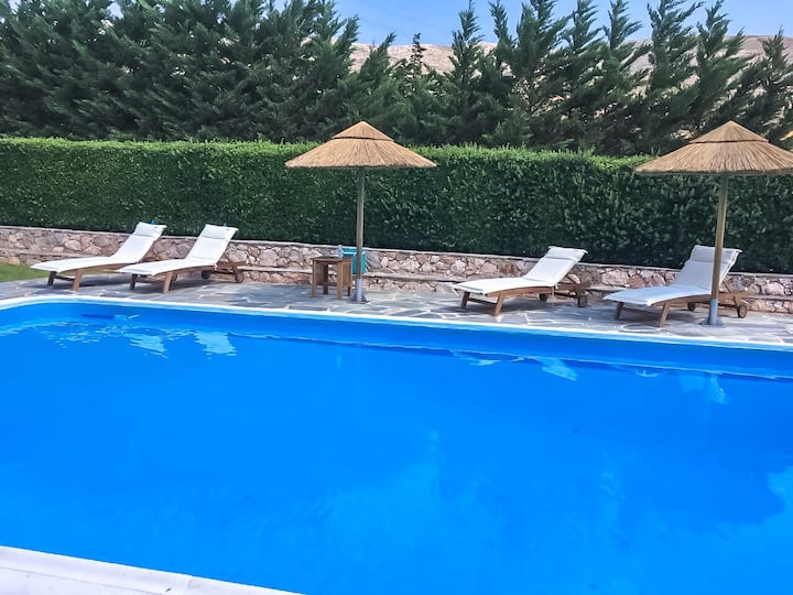 Old Olive Tree - Milos