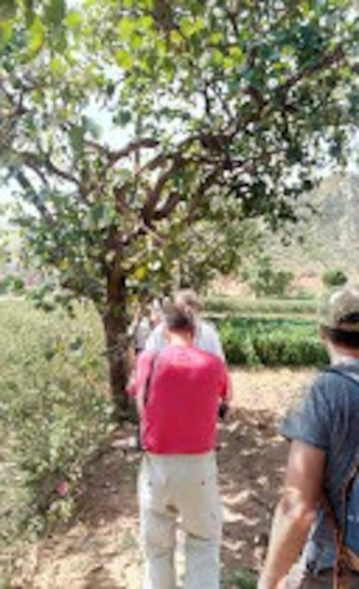 Leisure And Quite Place - Pushkar