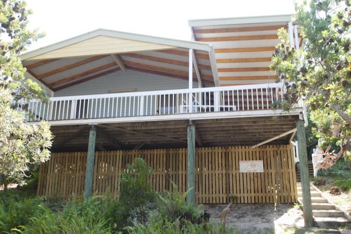 Banksia Breeze - Point Lookout