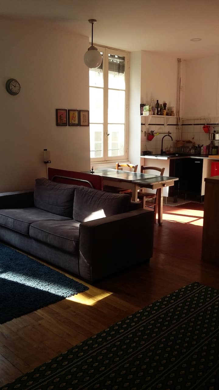 T3 Chaleureux Et Familial Proche Jean Macé - Lyon