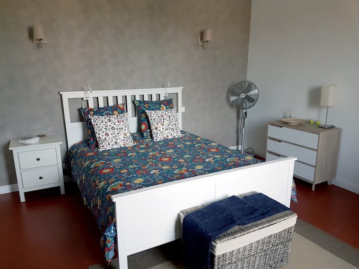 Belle Chambre D'hôtes (Avec Prêt De Vélos Gratuit) - Arles