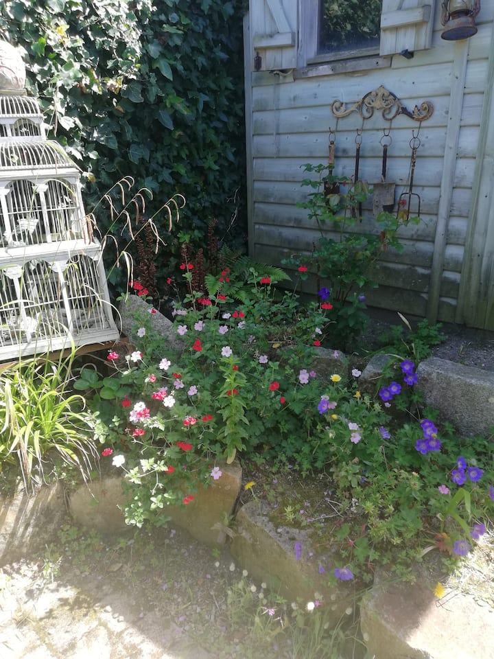 Babiole Maison Plain-pied Jardin Sud 40m De La Mer - Saint-Lunaire