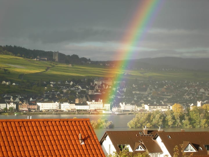Holiday Flat "Die Rochusberger" In Bingen - Bingen